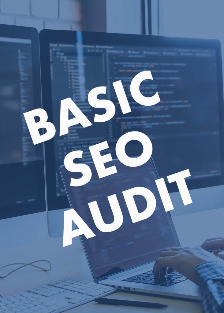 Basic SEO Website Audit Package | CT & NY SEO Experts